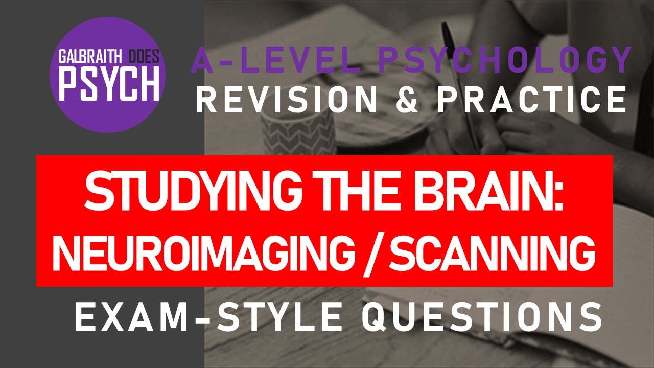 Brain Scanning (fMRI, EEG, ERP, post-mortem) - Exam Questions ...