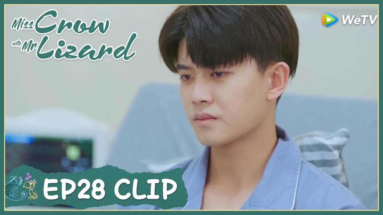 【Miss Crow with Mr. Lizard】EP28 Clip | He tried to protect her by ...