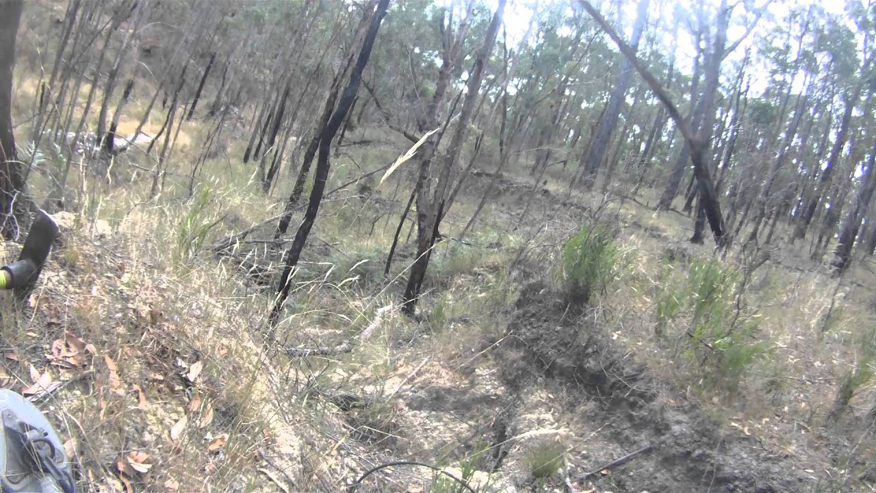 Metal Detecting Australia - Creswick Forest - YouTube