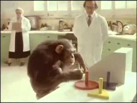 Sizce hangisi daha insan?...