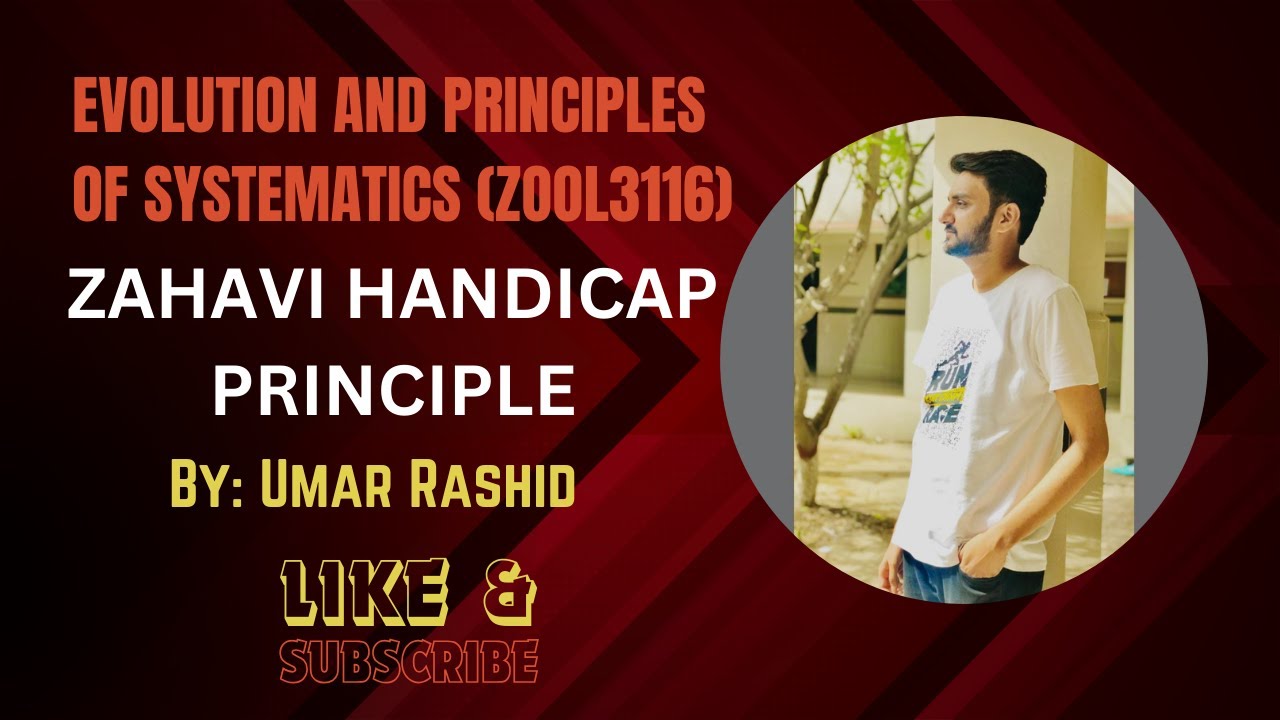 Zahavi's Handicap Principle | Urdu/Hindi | Umar Rashid - YouTube