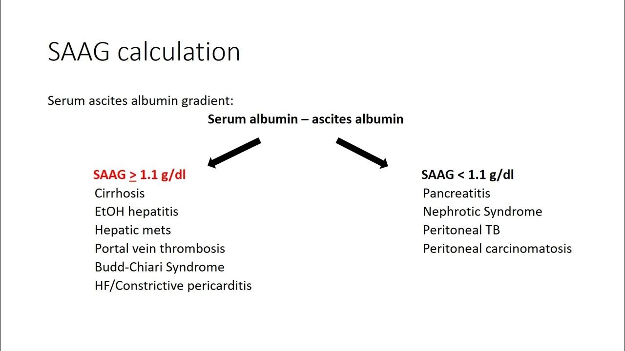 Serum Ascites Albumin Gradient SAAG - YouTube