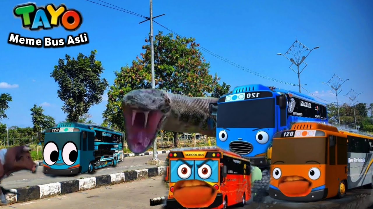 WOW‼️TAYO bus zafira telolet basuri di hadang ULAR besar‼️#tayo #meme # ...