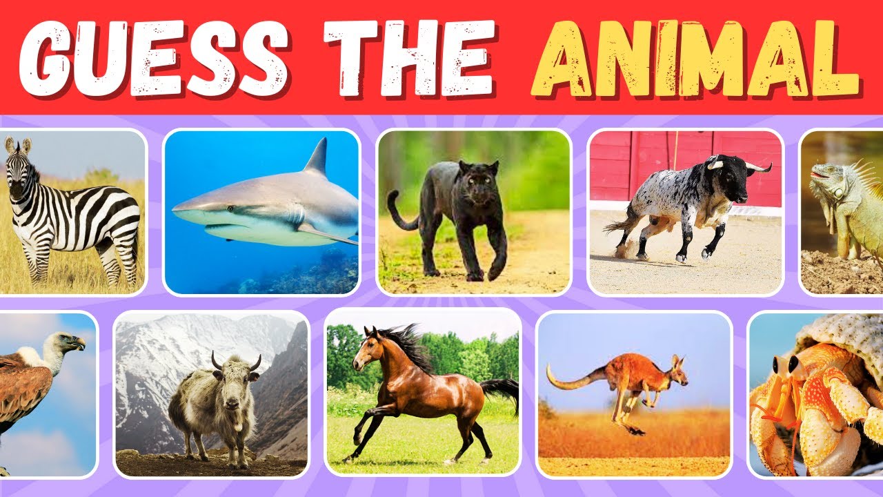 Guess the Animal in 5 Seconds! # 2 🦁 | 🐺30 Animals🐼 | Easy, Medium ...