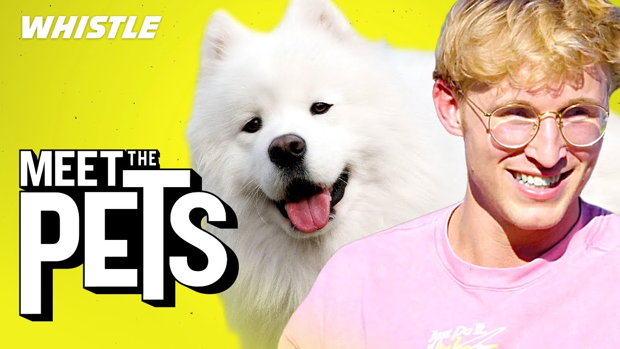 MMG Reveals His GREATEST Madden Ultimate Team & Shows Off His Awesome ...