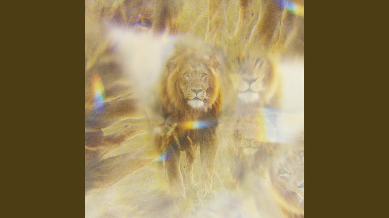 Jesus Song (Live) - Thrive Worship & Taylor Gall: Song Lyrics, Music ...