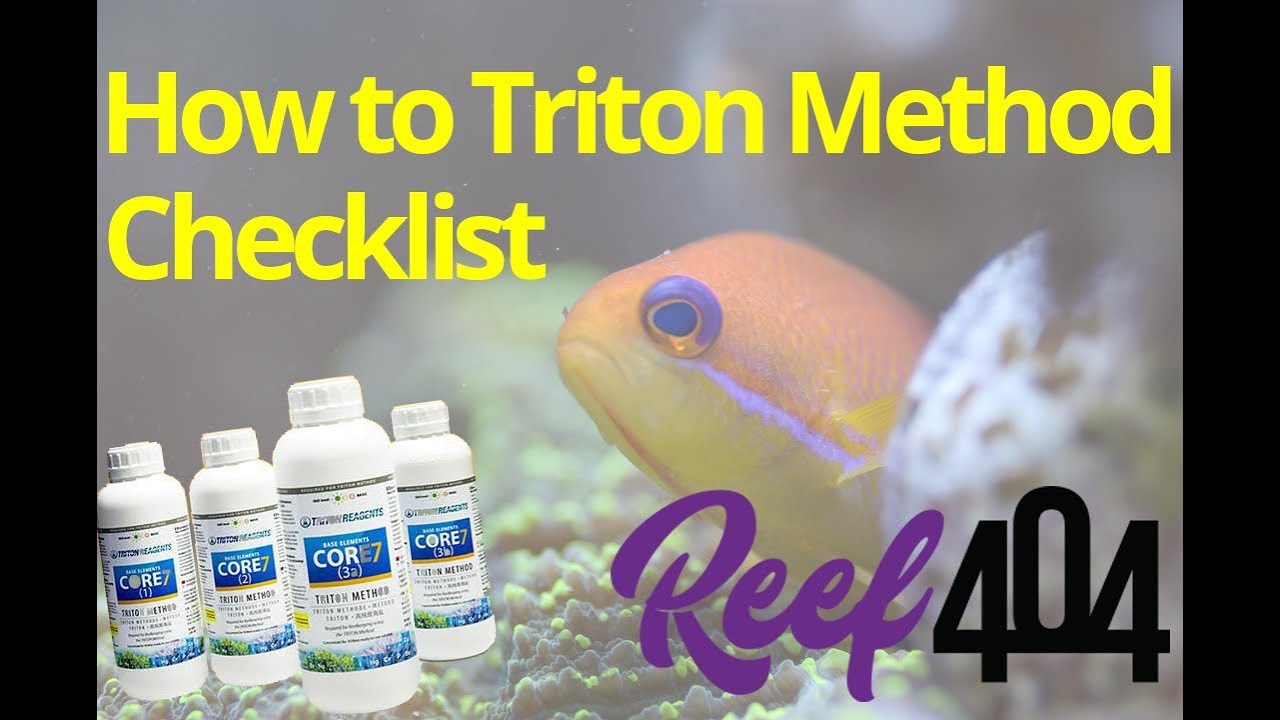 Reef404: How to Triton Method | The Checklist in 5min - YouTube