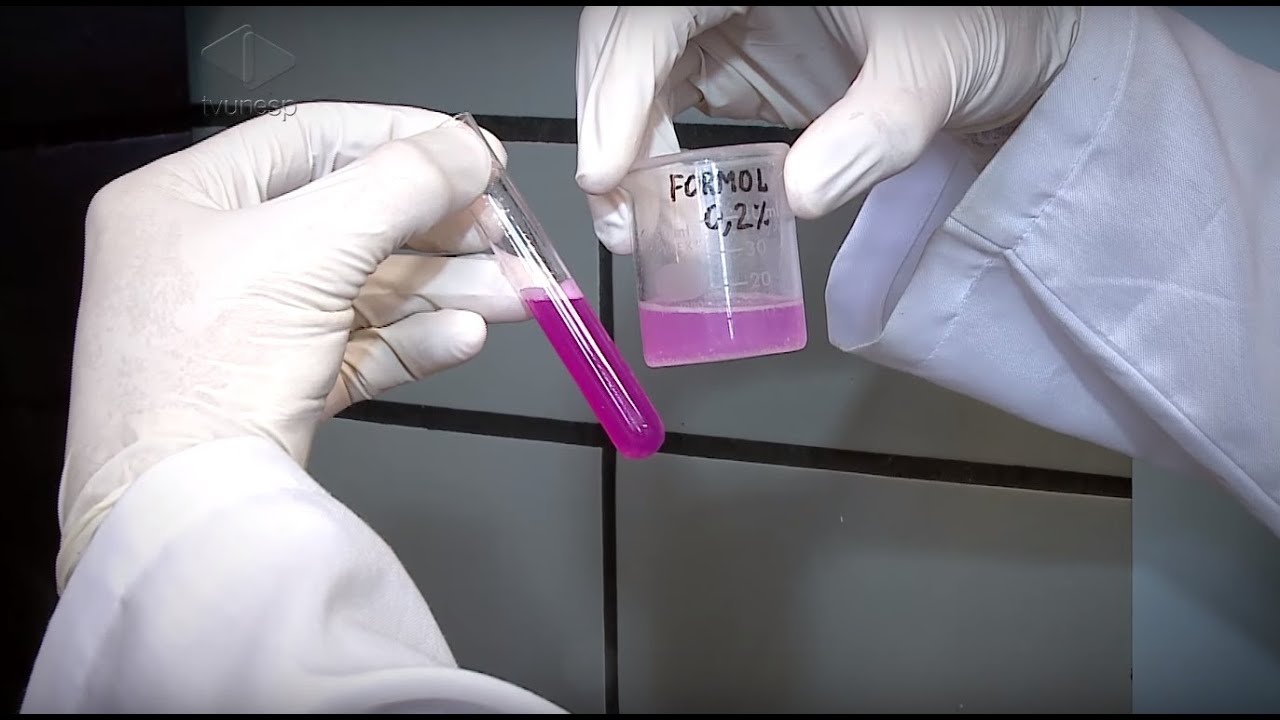 Saúde em Prática | Formol - YouTube