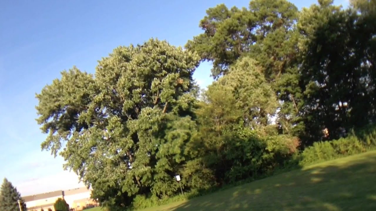 Syma X1 Quad Flight - YouTube