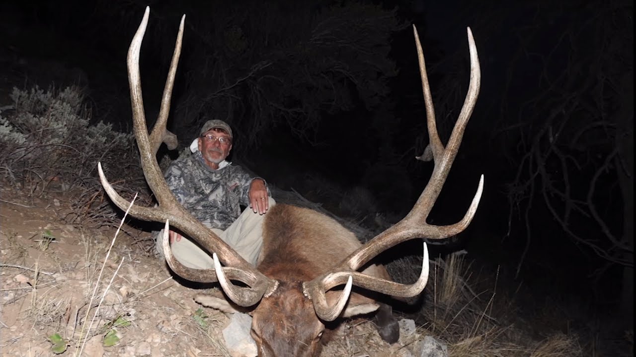 HUGE Nevada Bull - Mike Kinney - MossBack - YouTube