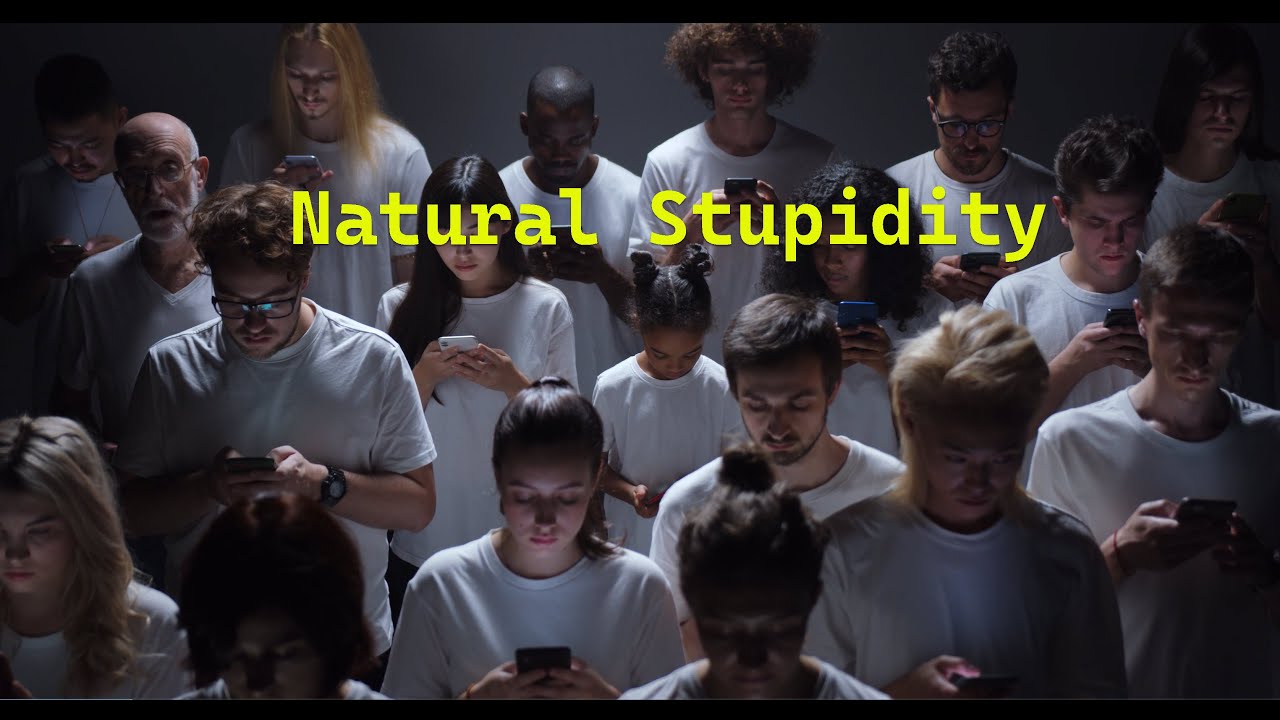 Natural Stupidity - YouTube