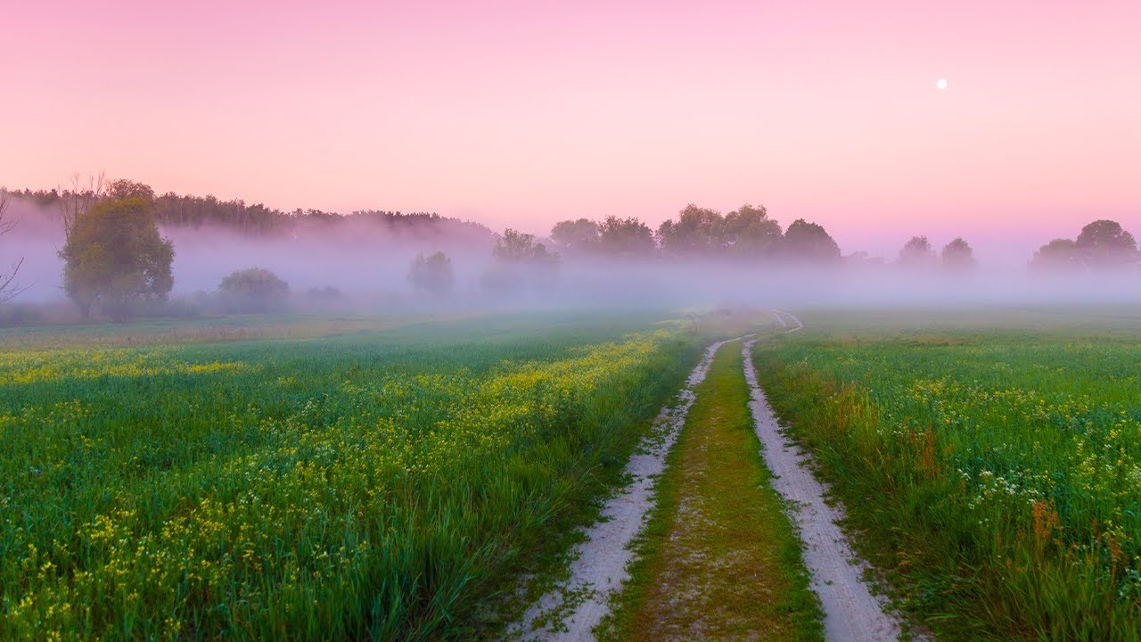 AMAZING NATURE SCENES, SOOTHING PEACEFUL MUSIC, RELAXING WATER NATURE ...