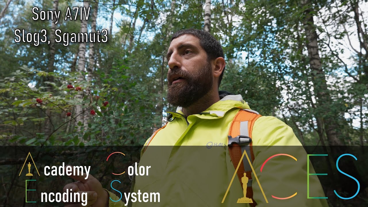 Color grading Sony A7 iv's Slog3 with ACES: it's actually easy - YouTube