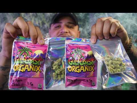 Trying Some Florida Indoor Living Soil Flower!! | Gulfcoast Organix Cannabis Review
