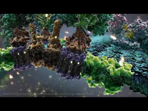 Eric Haseltine What will be the next big scientific breakthrough? - YouTube