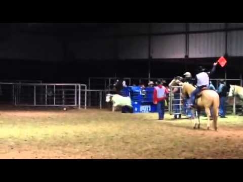 Team Roping Girls - YouTube