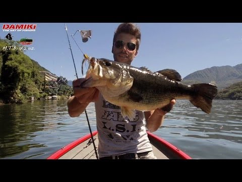 Top Water Big Bass - YouTube