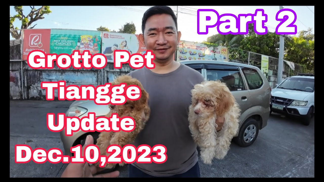 Grotto SJDM Bulacan Pet Tiangge Mga Kaganapan Ngayon Dec.10, 2023 - YouTube
