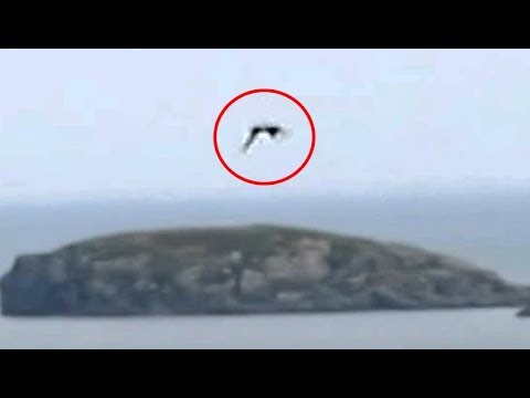 The Mysterious Flying Ropen Of New Guinea - YouTube