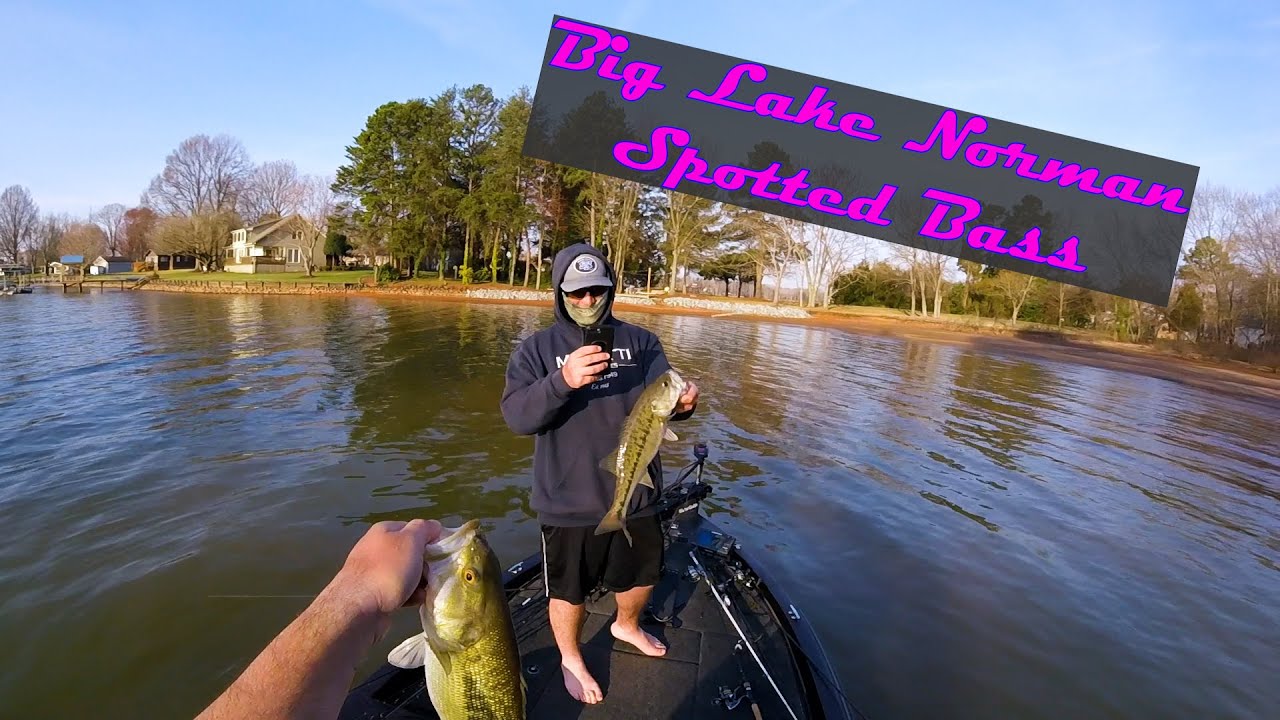 Lake Norman Bass Fishing (Early Spring) - YouTube