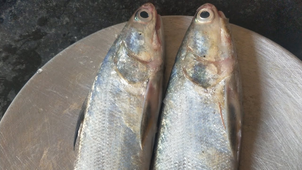 Ravas fish 😋🐟🐠 - YouTube