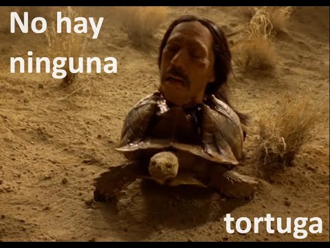 La tortuga marina esta llegando, Breaking Bad | Tortuga - YouTube