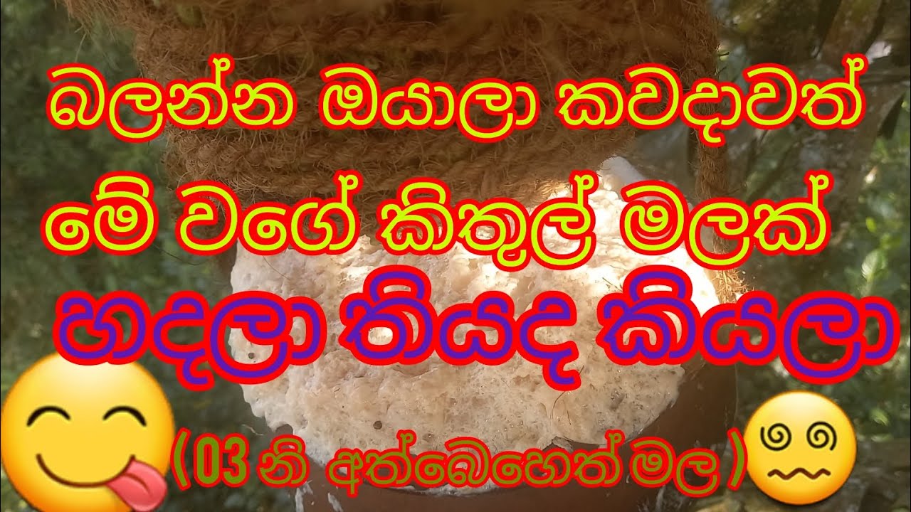 ඔබ නොදැක්ක කිතුල් මල් හදන ක්‍රමයක් මෙන්න🌴kithul flower 🤑sri lanka ...