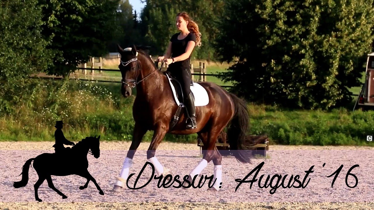 Dressurtraining August 2016 - YouTube