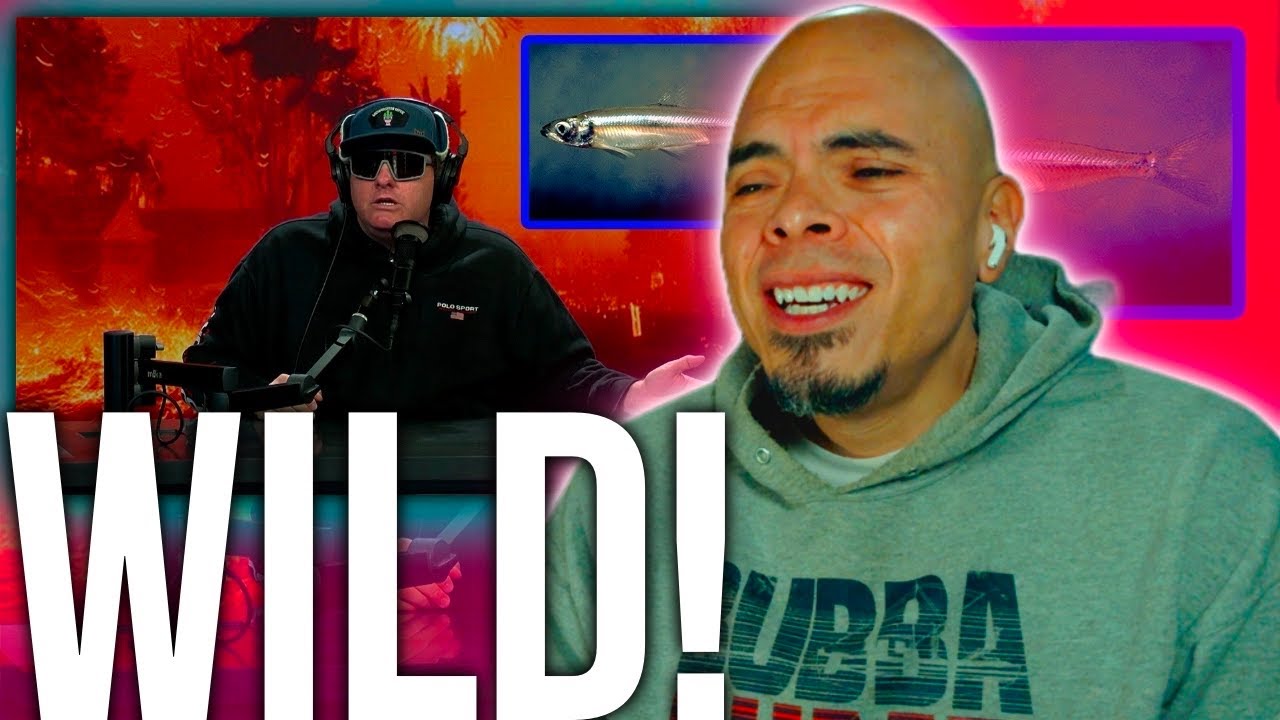Tim Dillon’s LA Fires Rant (REACTION) - YouTube