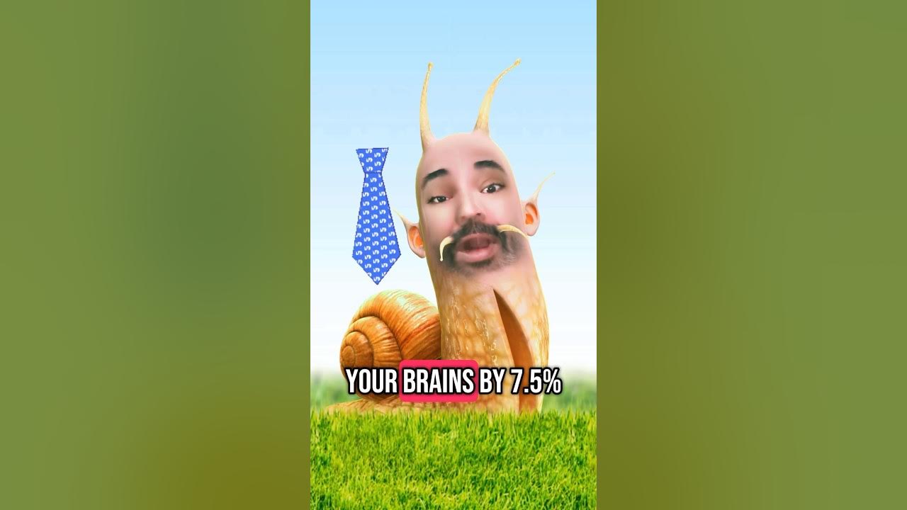 Snail Wisdom: Ties are Bad #funny #bestmemes #untilwemeetagain #snails #comedy #skeletormemes # ...