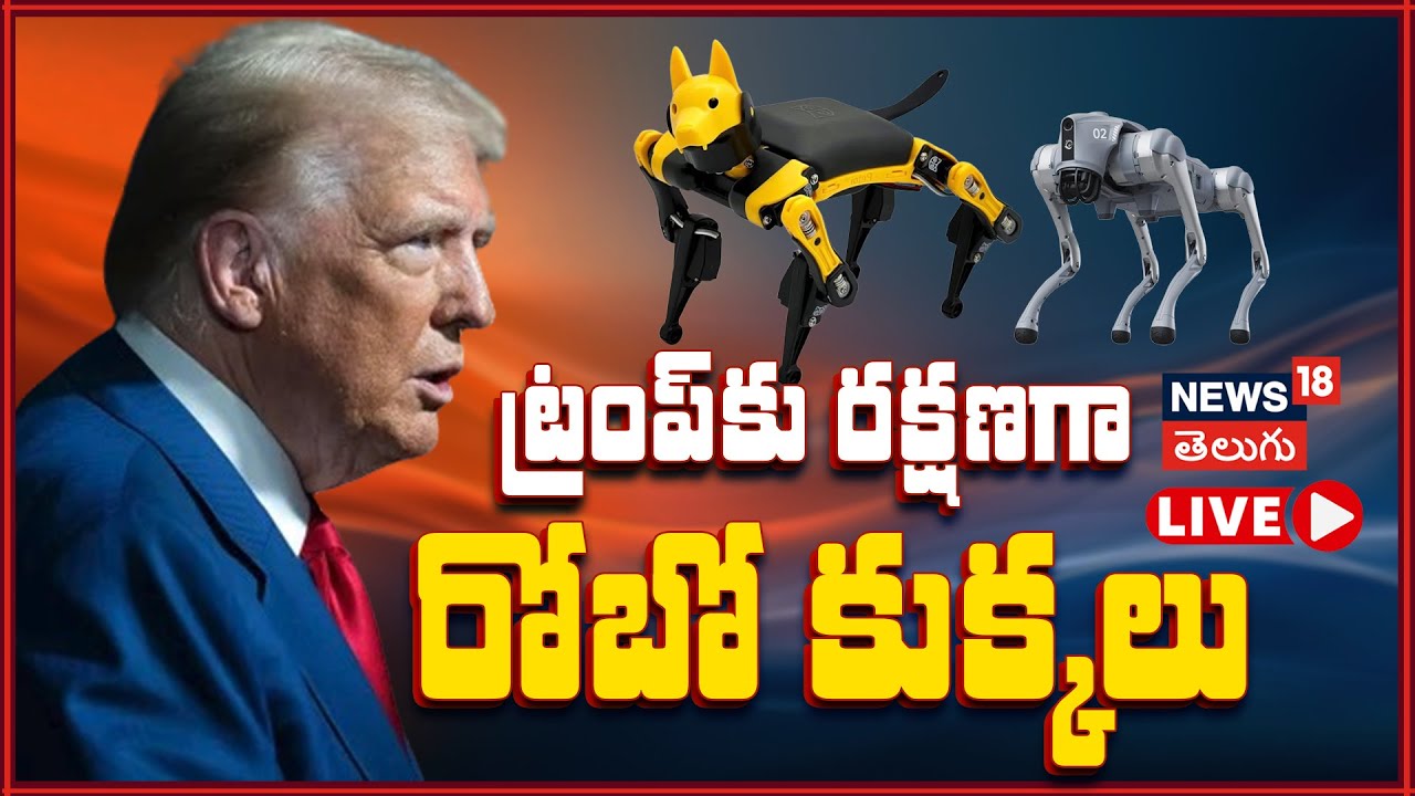 🔴LIVE | Robotic Dogs Patrol Mar-a-Lago To Protect Trump | Secret ...