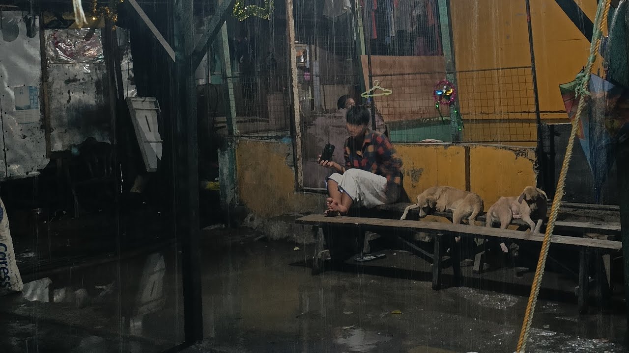 RAINING EVENING☺️ - YouTube