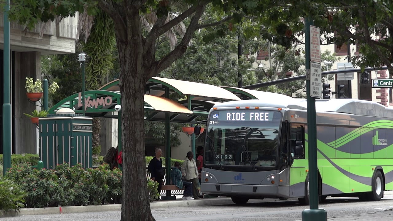 Copyright Free Bus Stop Stock Video Footage - YouTube