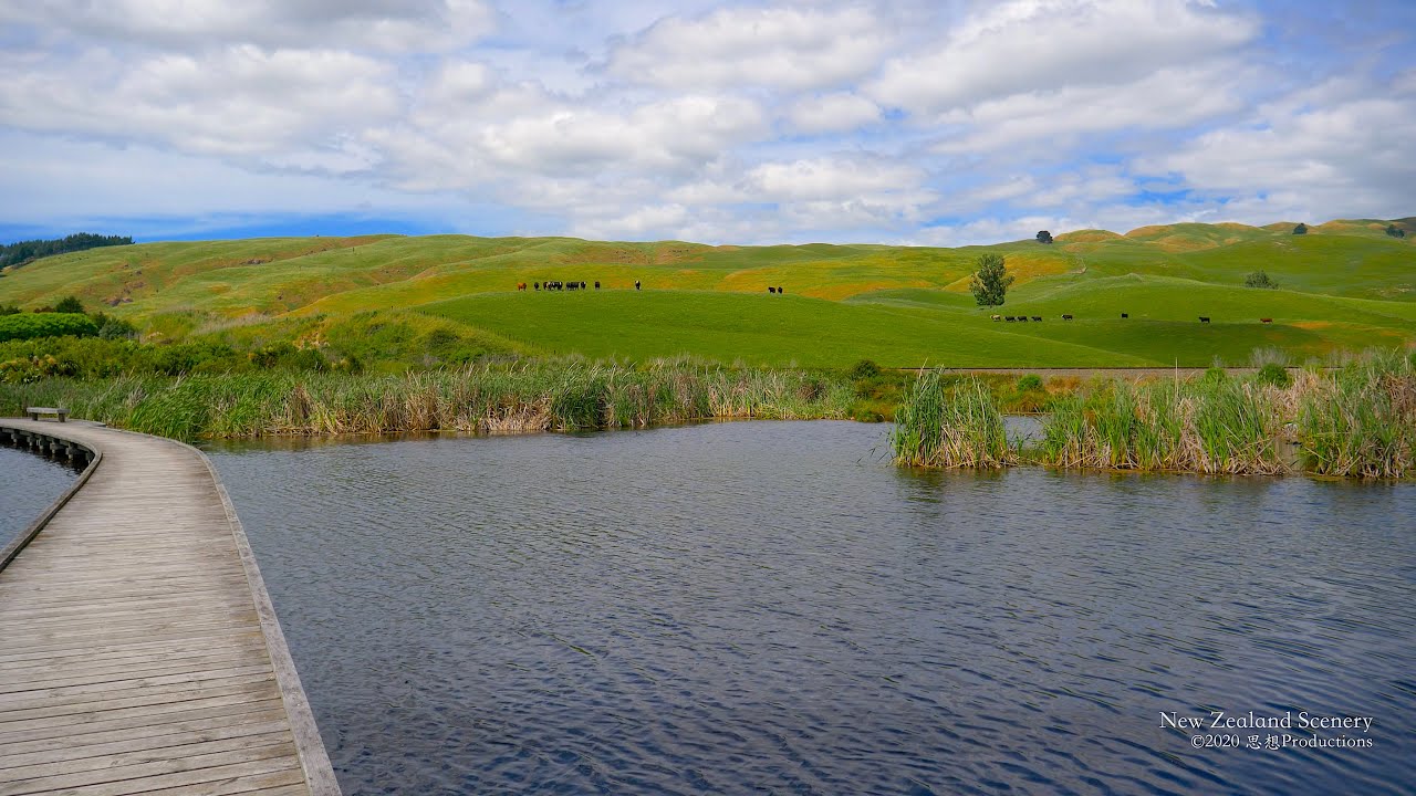 4K Pekapeka Wetland Hawke's Bay NEW ZEALAND ニュージーランド 紐西蘭 Part 29 - YouTube