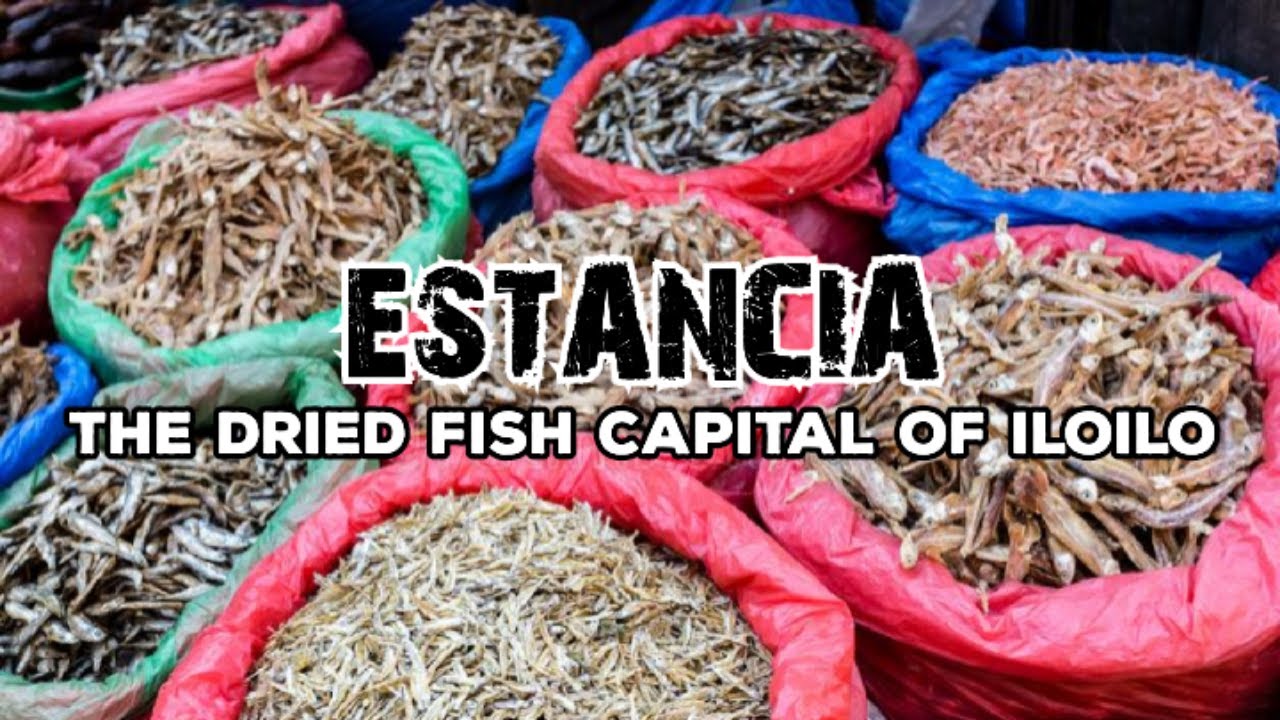 estancia iloilo dried fish market - YouTube