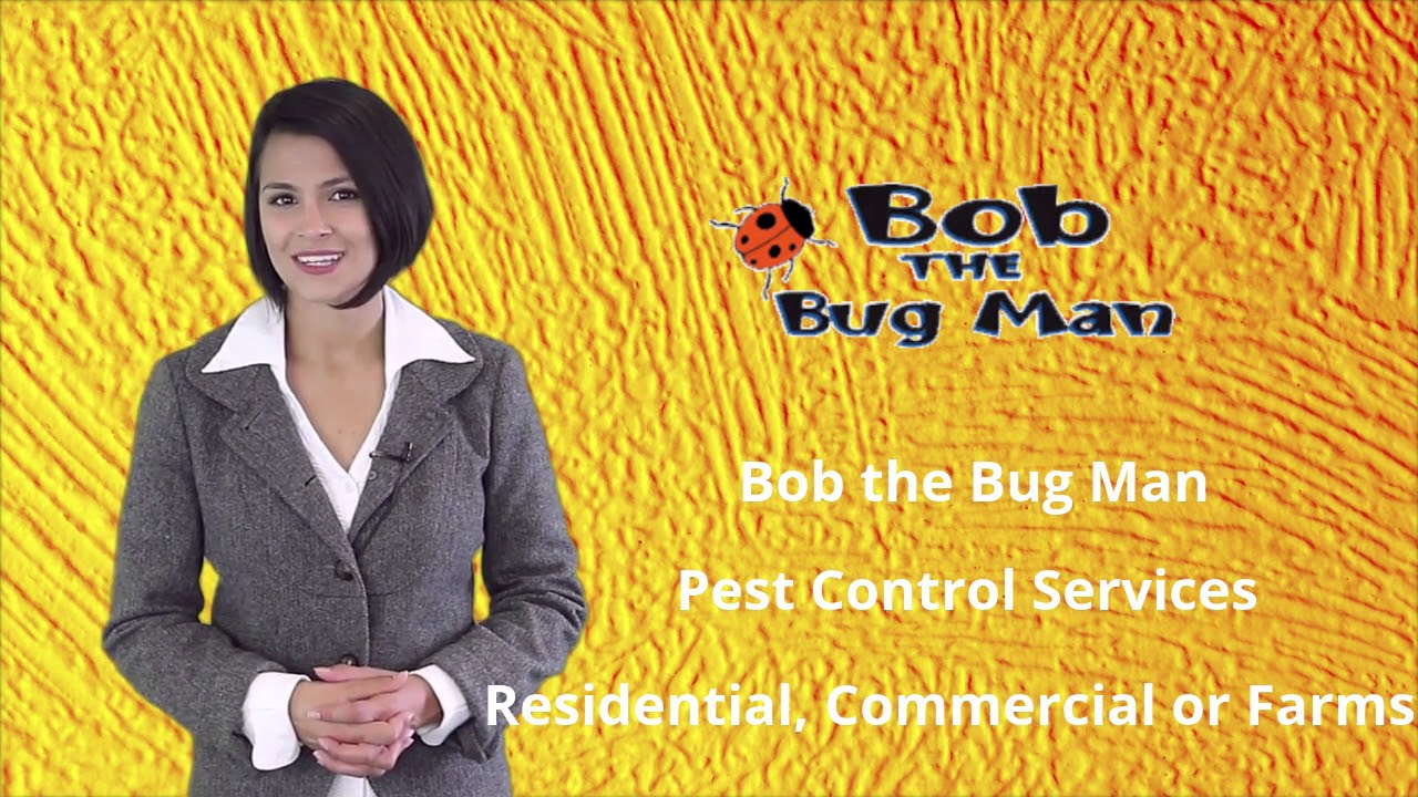 Bob The Bug Man 5 Star Review Rochester MN Best Pest Control - YouTube