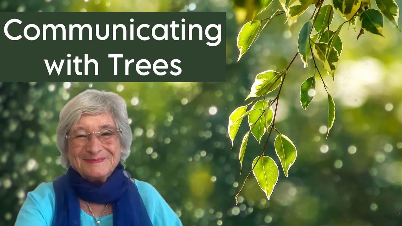 Communicating with Trees - YouTube