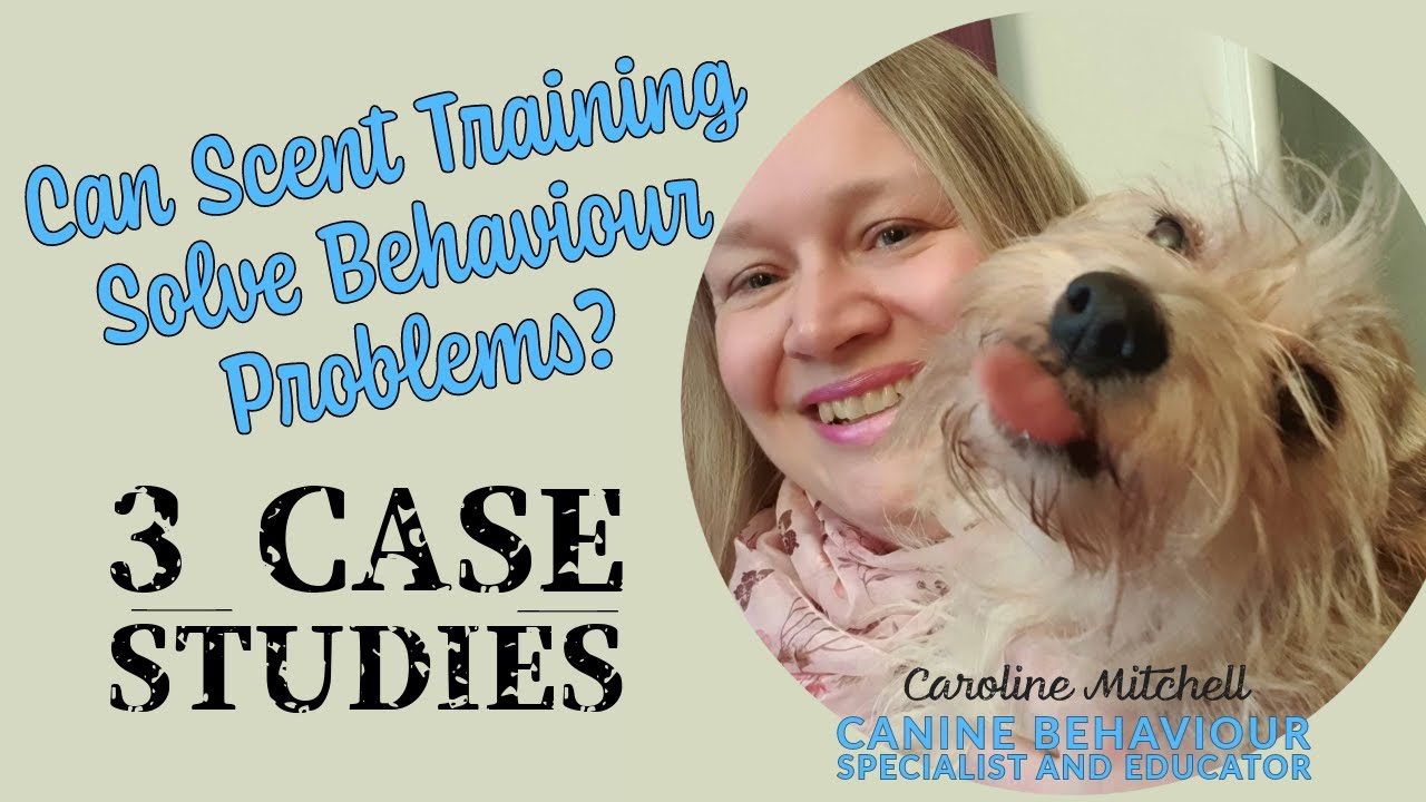 Can Scent Training Solve Canine Behaviour Problems? - 3 Case Studies - YouTube