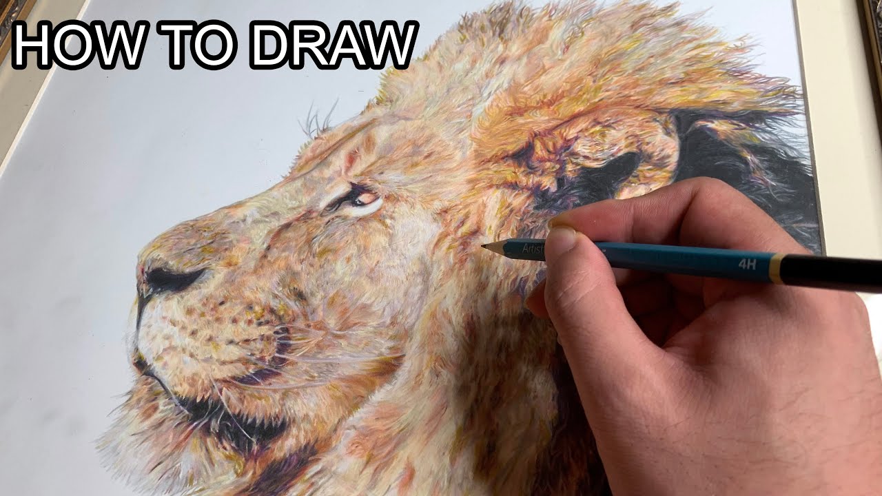 How To Draw - YouTube