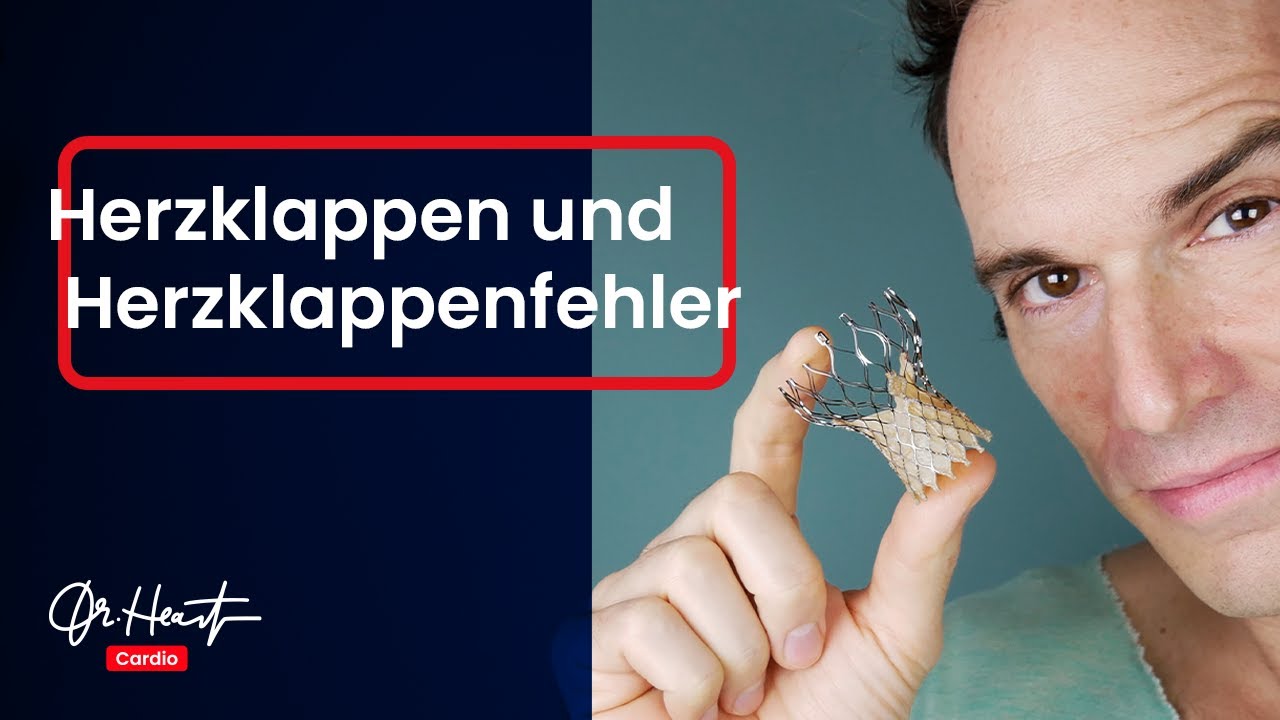 Herzklappen und Herzklappenfehler | Dr. Heart - YouTube