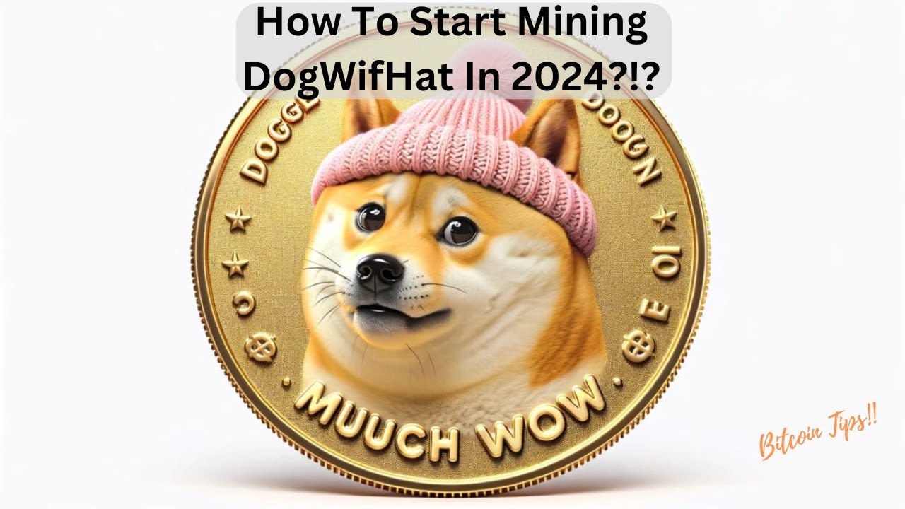 How To Mine DogWifHat (WIF) Coin Using Windows | 2025 Guide - YouTube
