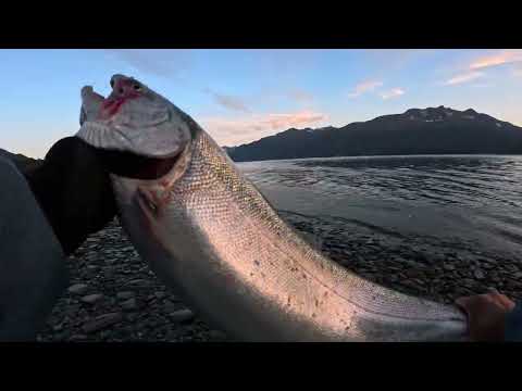 Silver Salmon Fishing in Valdez Alaska #alaskafishing #silversalmon #fishing #alaska 