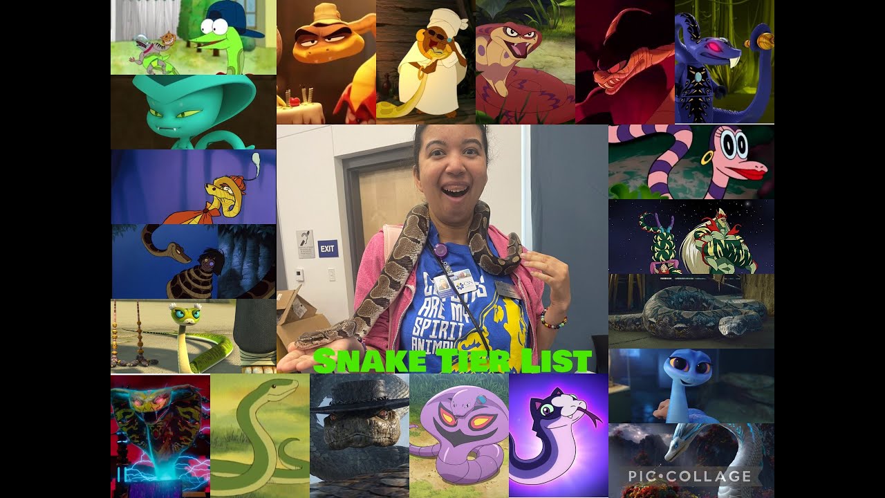 Sher & Friends' Snake Tier List - YouTube