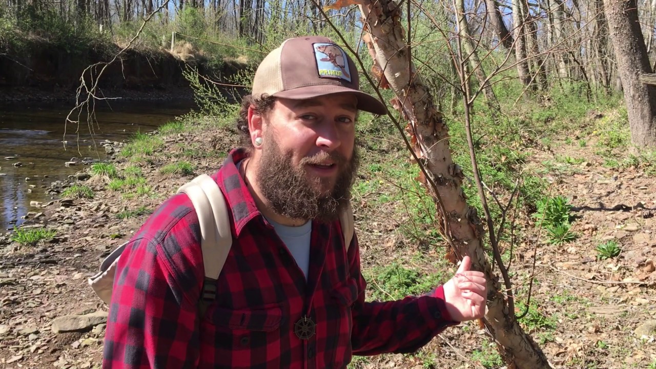 The Treeman Show: Episode 2 - YouTube