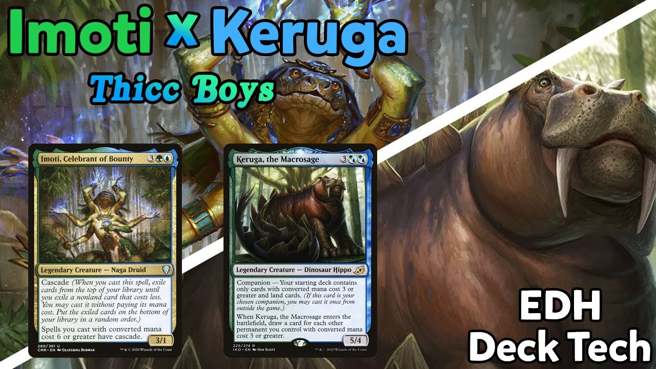 Imoti, Celebrant of Bounty with Keruga, the Macrosage Companion - EDH ...