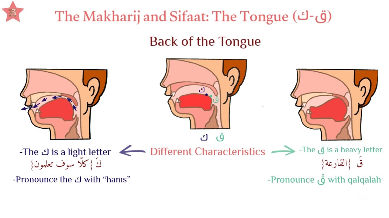 [26] Makharij and Sifaat : The Tongue (ق-ك) - Tajweed in English - YouTube