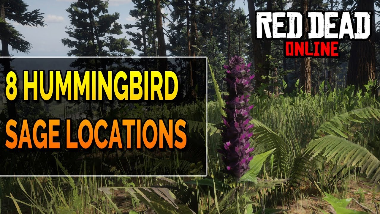 Red Dead Online Daily Challenge Guide - 8 Hummingbird Sage Locations ...