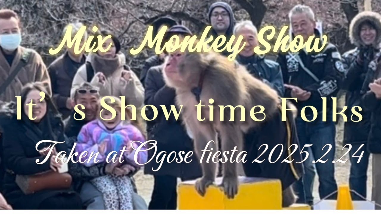 Live streaming of Janet’SVlog Monkey Show again part6 Japan. - YouTube
