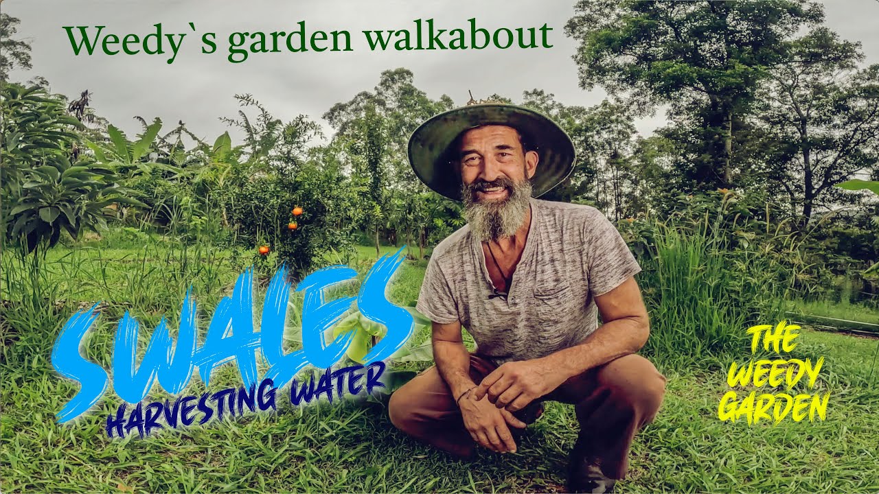 Saving Water and Nutrient with Swales: Weedy’s Garden Walkabout ...