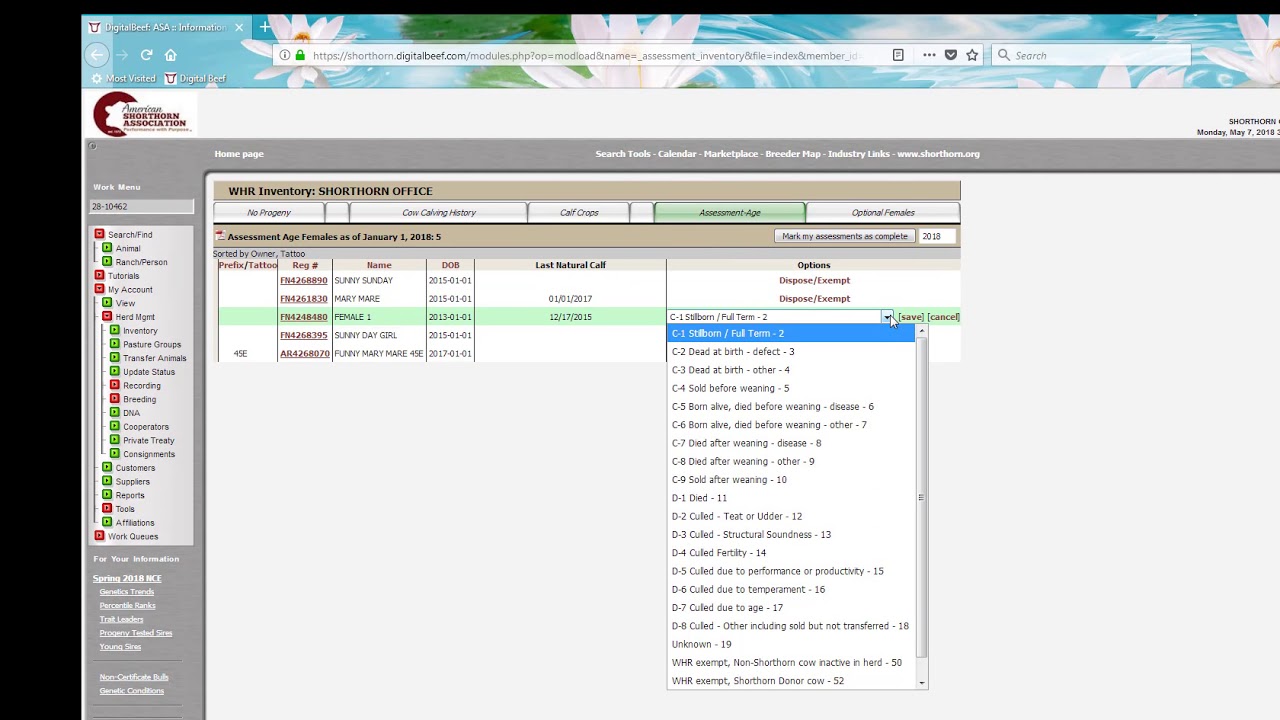 doing your whr assessments online - YouTube